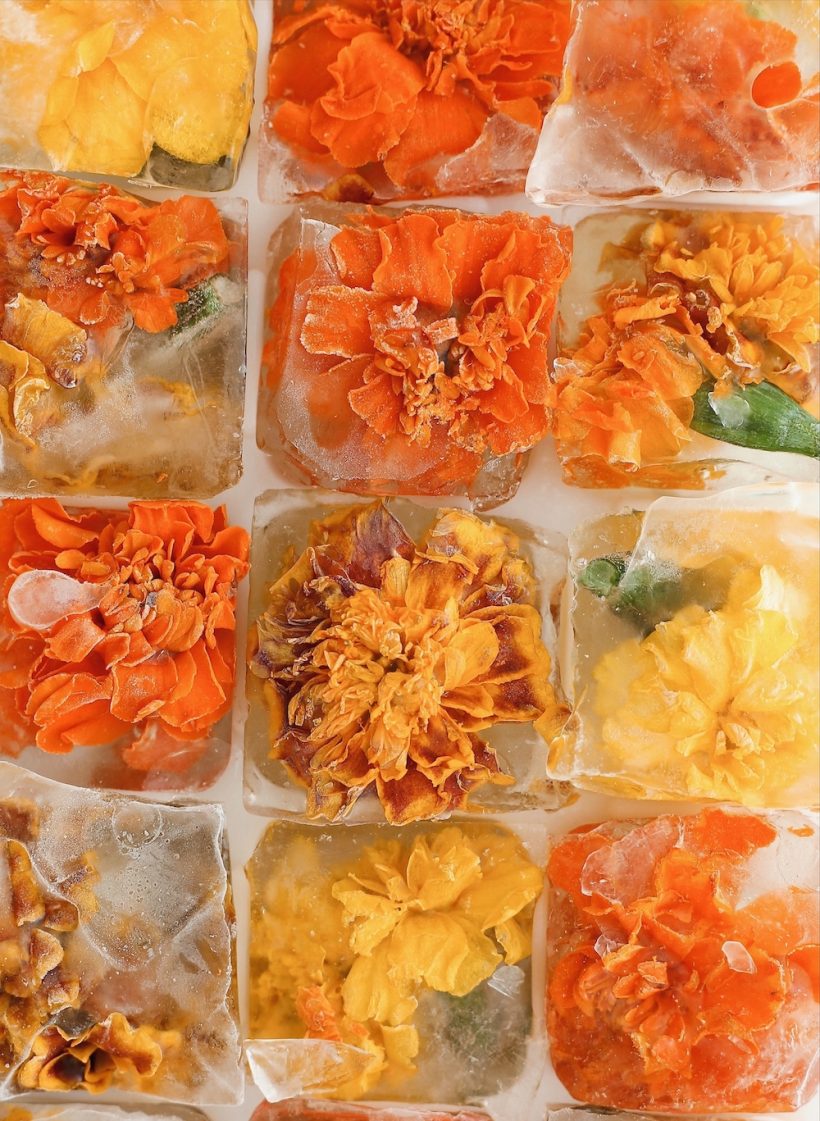 4 Ice Cube Recipes That Are as Beautiful as They Are Delicious