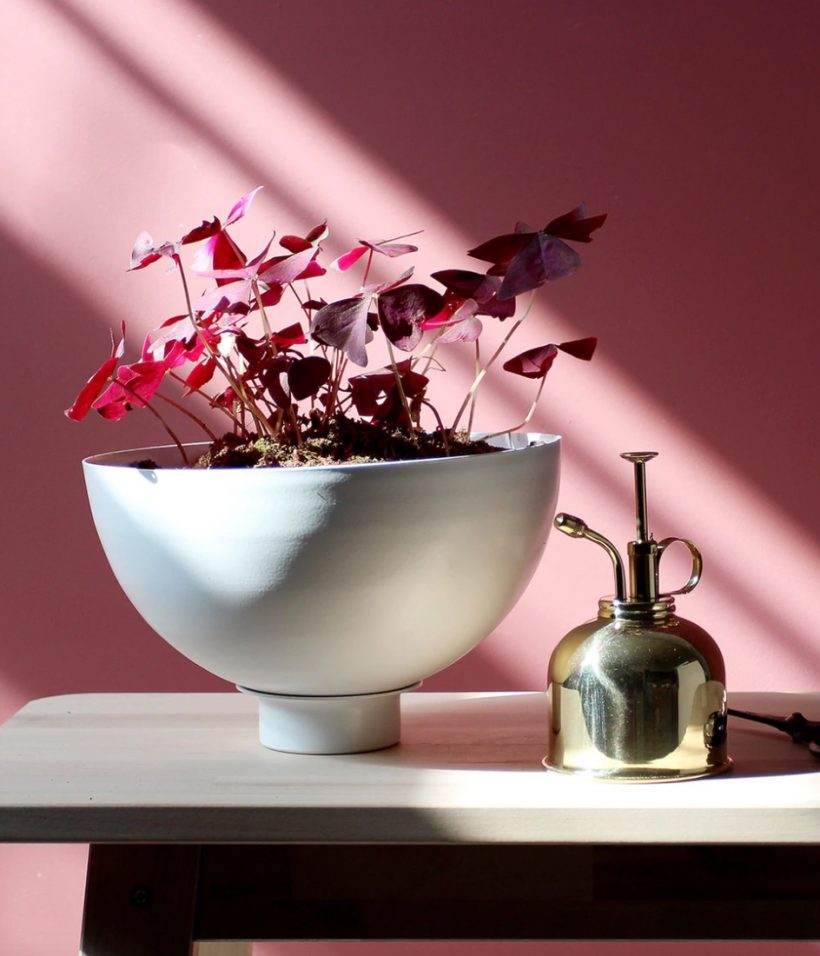 25 Cute Indoor Planters to Upgrade Any Room