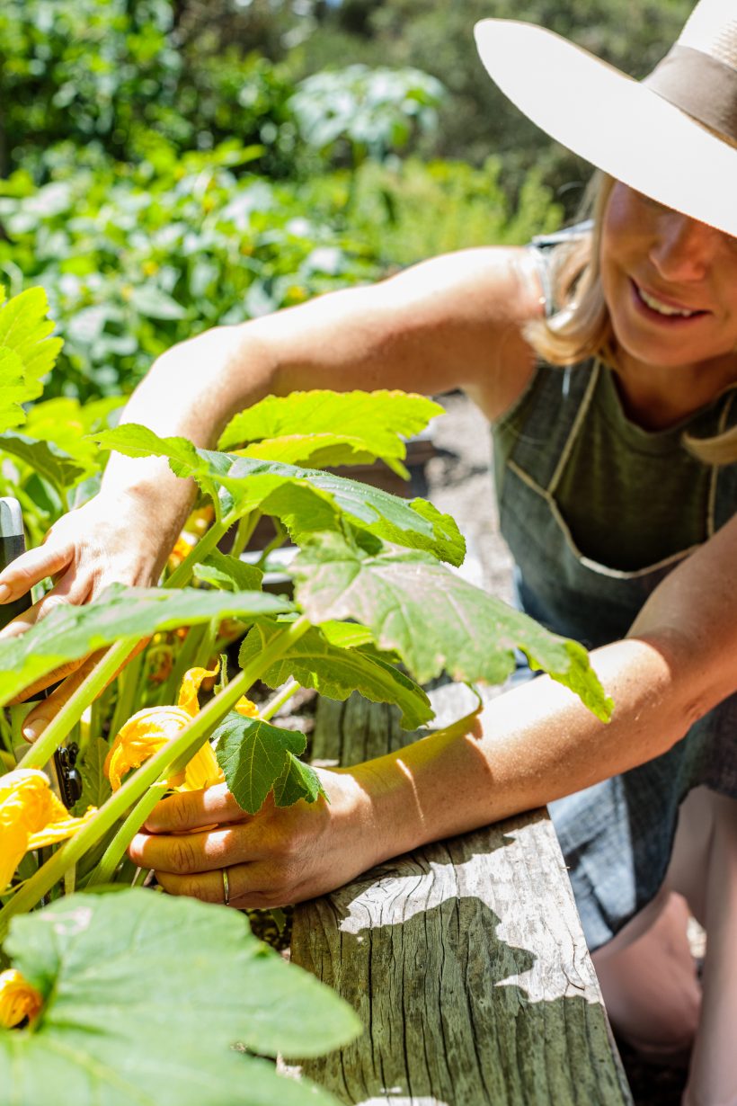 How to Grow Your Own Food: A Gardener Shares 5 Easy Tips