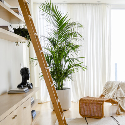 The 15 Best Apartment Plants for Every Décor Style