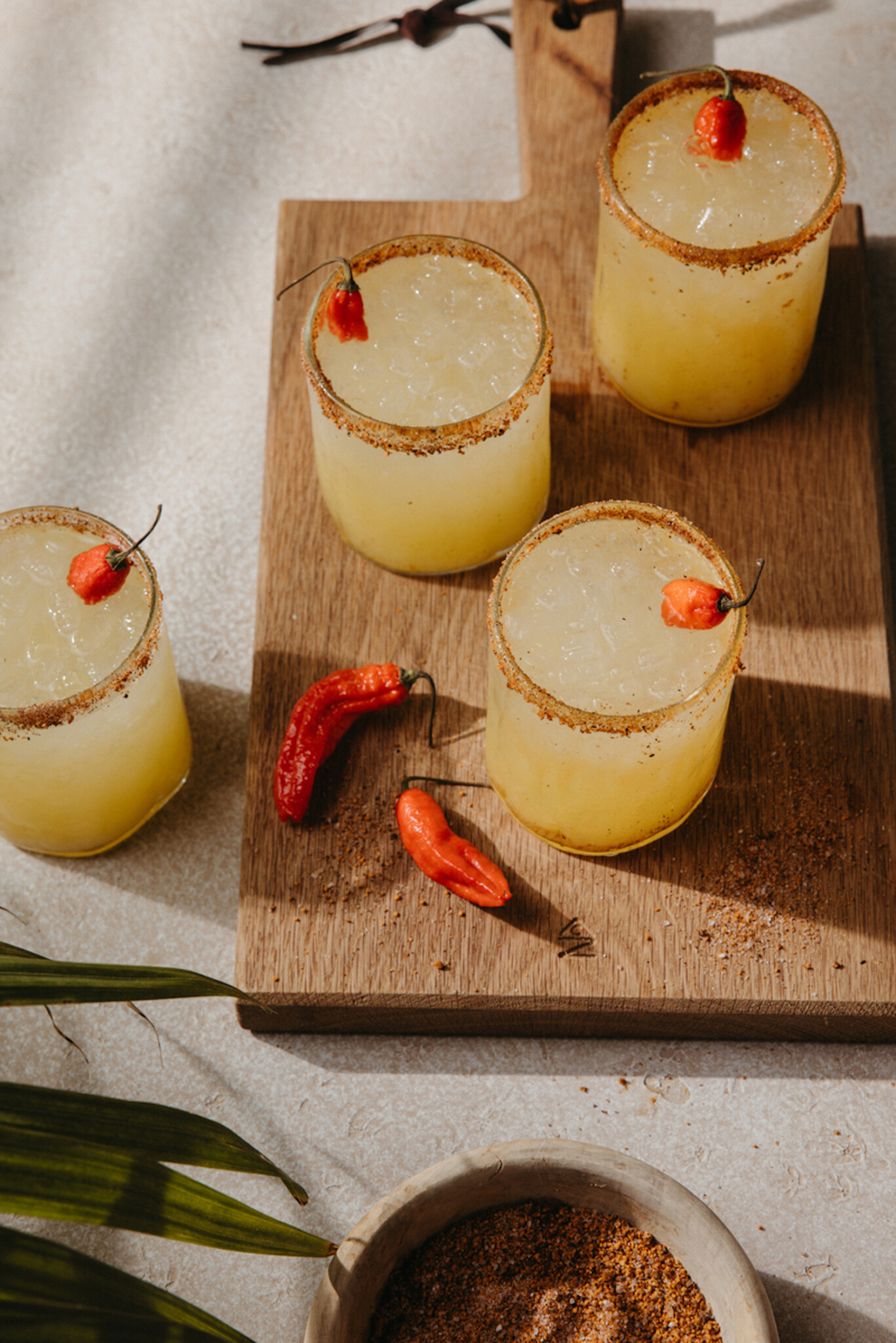 Spicy Margarita Tajin Rim Camille Styles