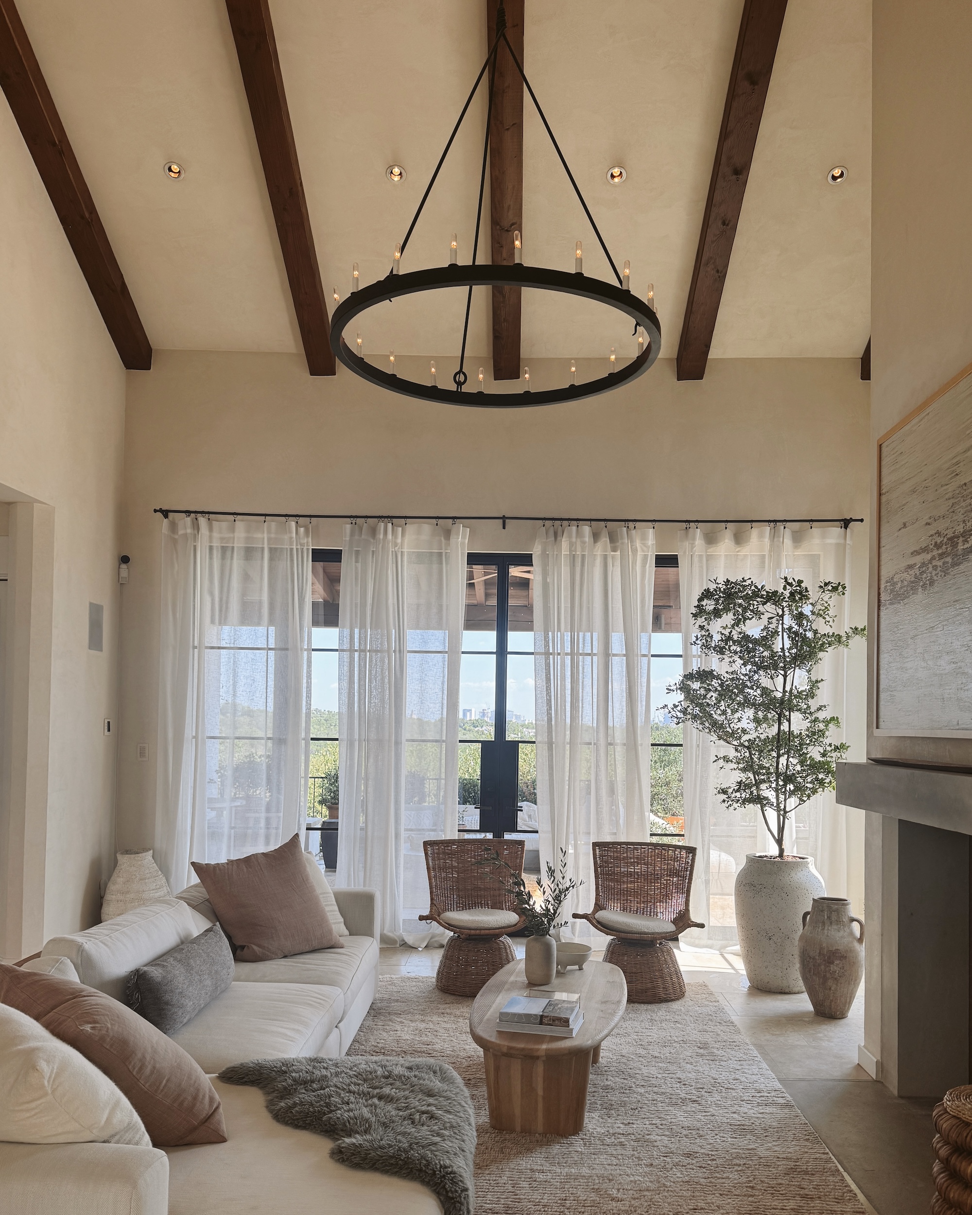 The Black Olive Tree Is This Year’s Trendiest Indoor Plant ...