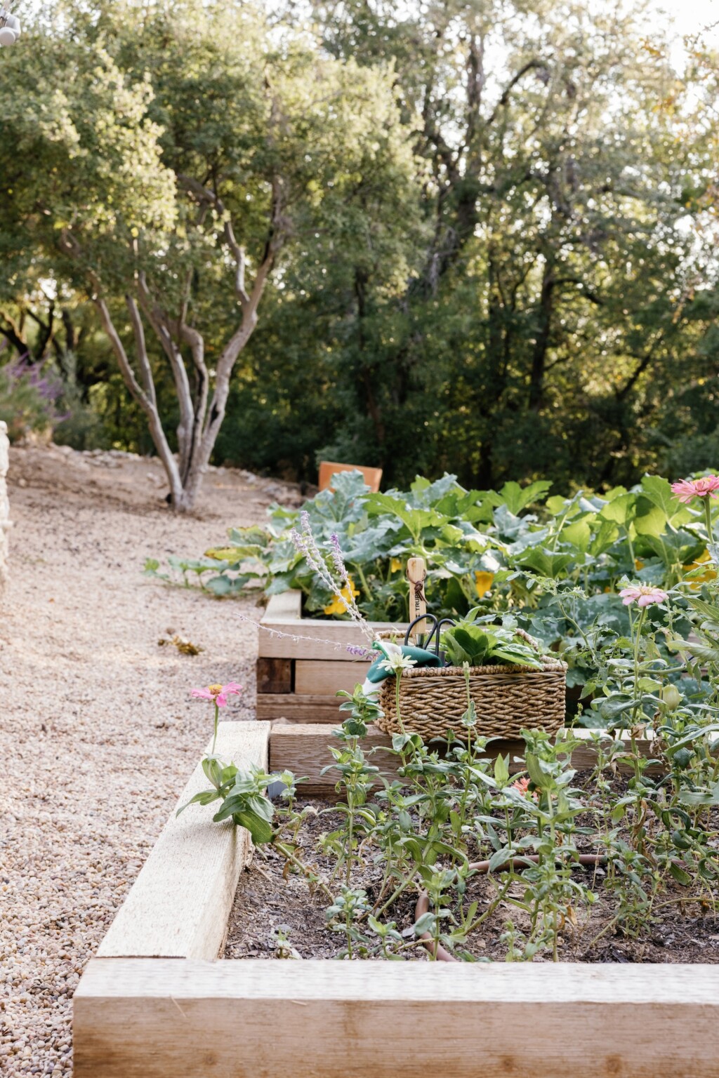What Is Holistic Gardening? Everything You Need to Know